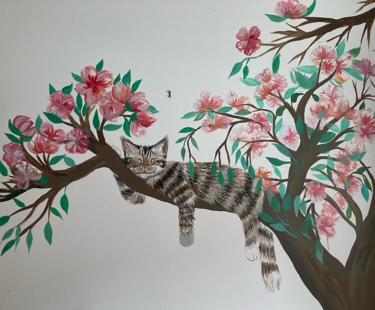 FAQS – NIKKI PAINTS